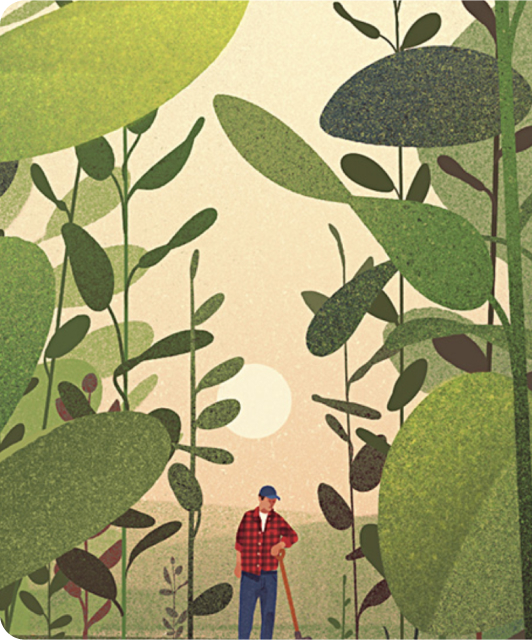 Redefining Soybean Success | Mosaic Crop Nutrition