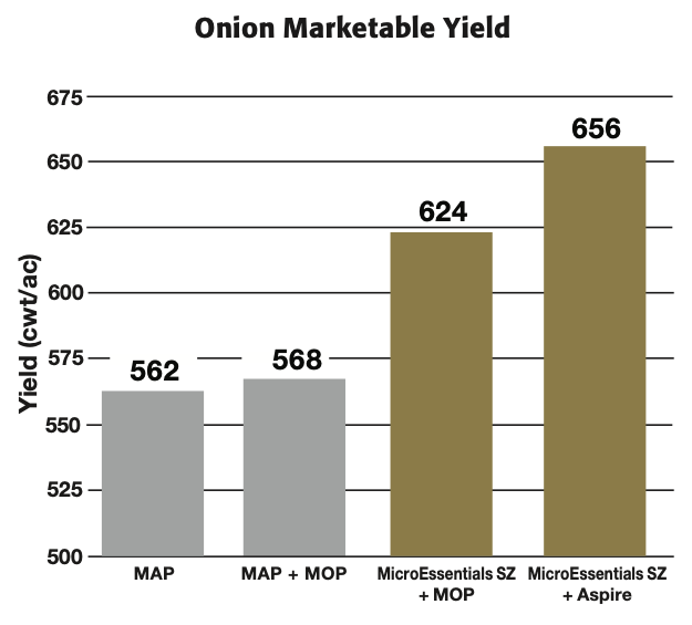 Performance Acre™ - Onion Balanced Crop Nutrition - AgriFacts | Mosaic ...