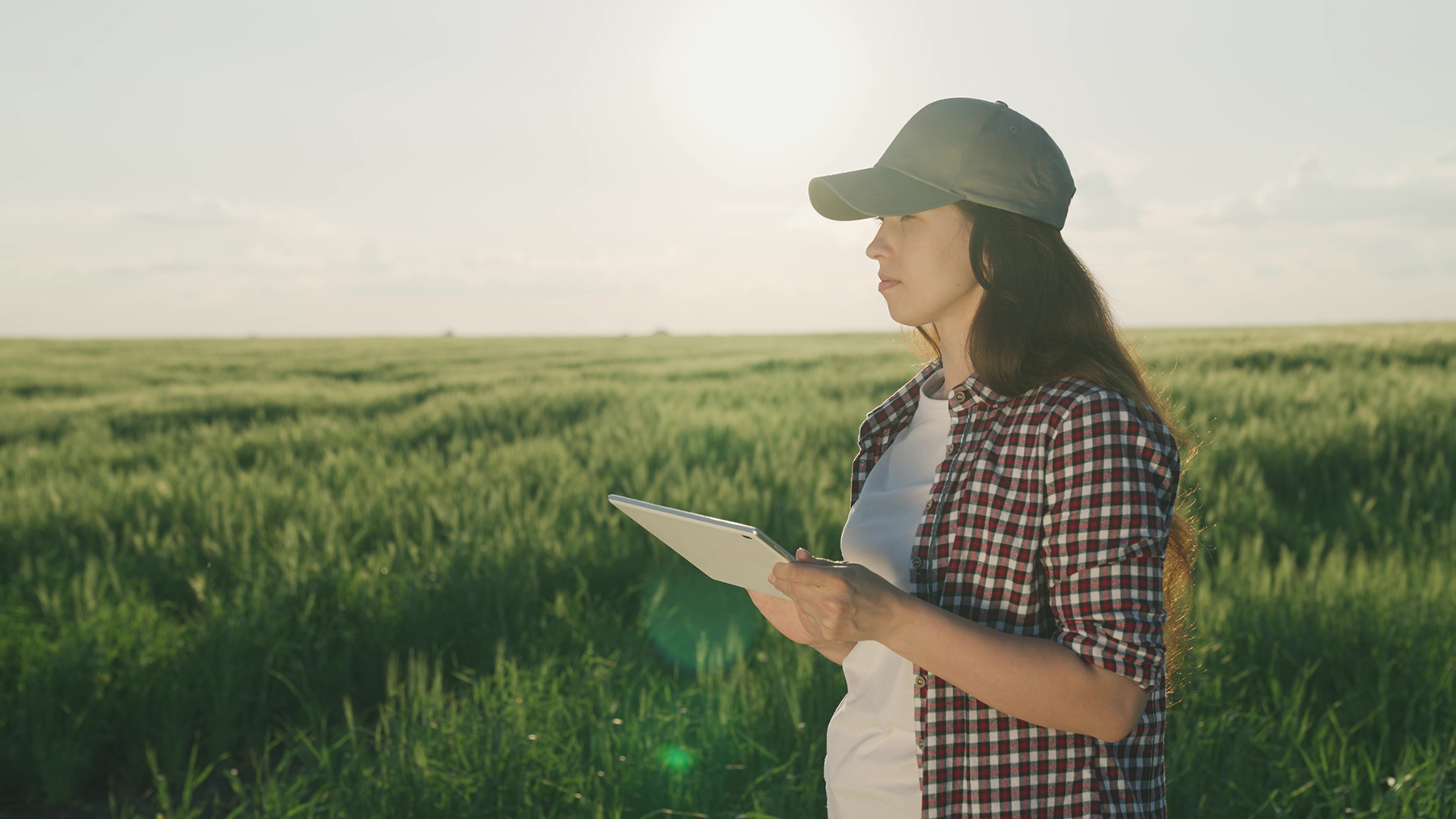 AgCollege® Online | Mosaic Crop Nutrition