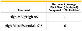 It's Time to Reevaluate Canola P Fertility! | Mosaic Crop Nutrition