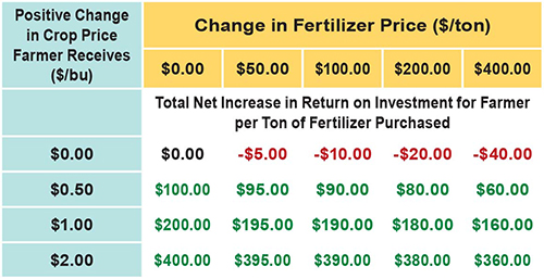 Four Considerations to Maximize Fertilizer Inputs | Mosaic Crop Nutrition