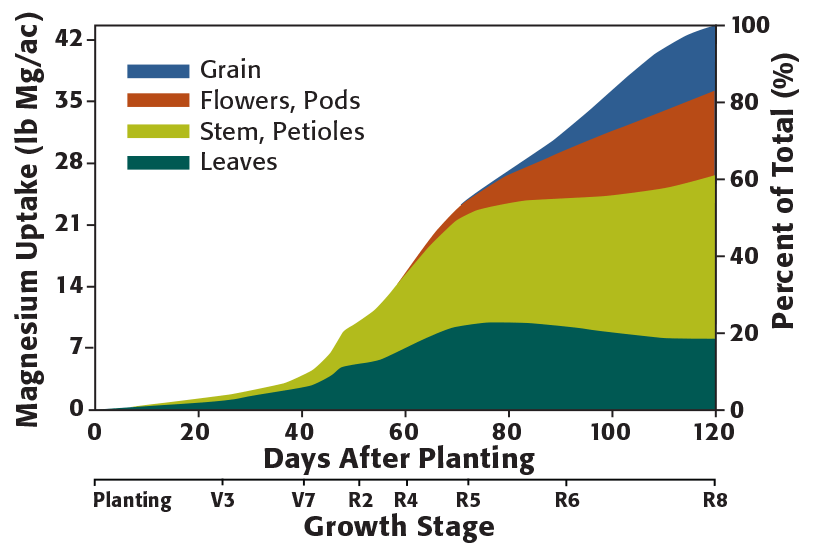 Looking Beyond the Big Three in Soybeans | Mosaic Crop Nutrition