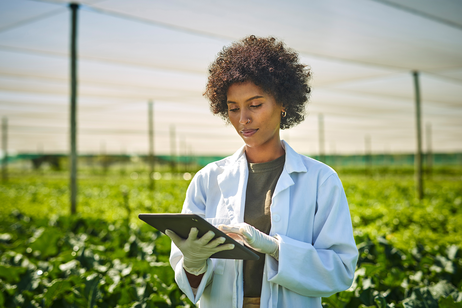 Mosaic Biosciences: Biologicals for Soil Health