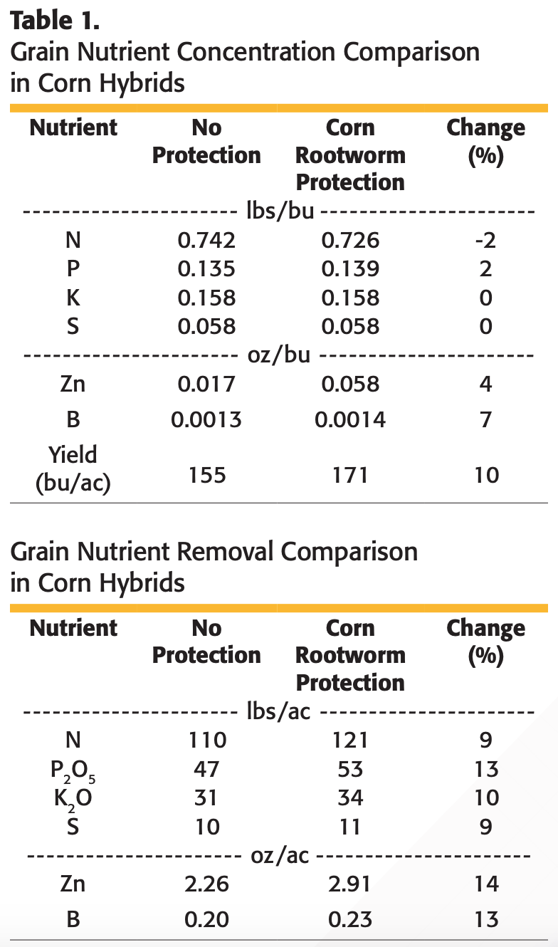 Corn Rootworm-Resistant Traits and Nutrient Removal | Mosaic Crop Nutrition
