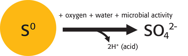 Oxidation of Elemental Sulfur in Soils | Mosaic Crop Nutrition