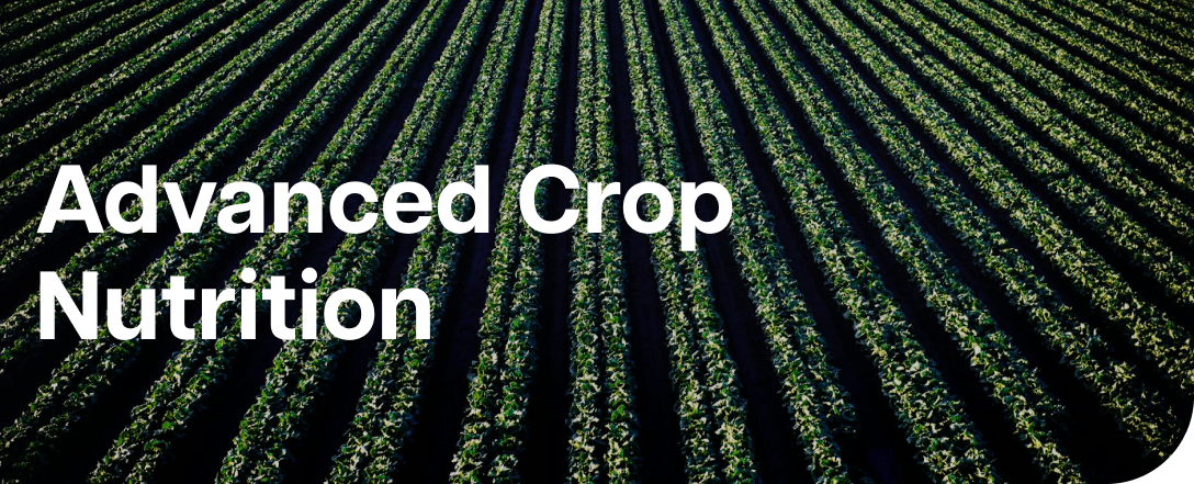 Advanced Crop Nutrition | Mosaic Crop Nutrition