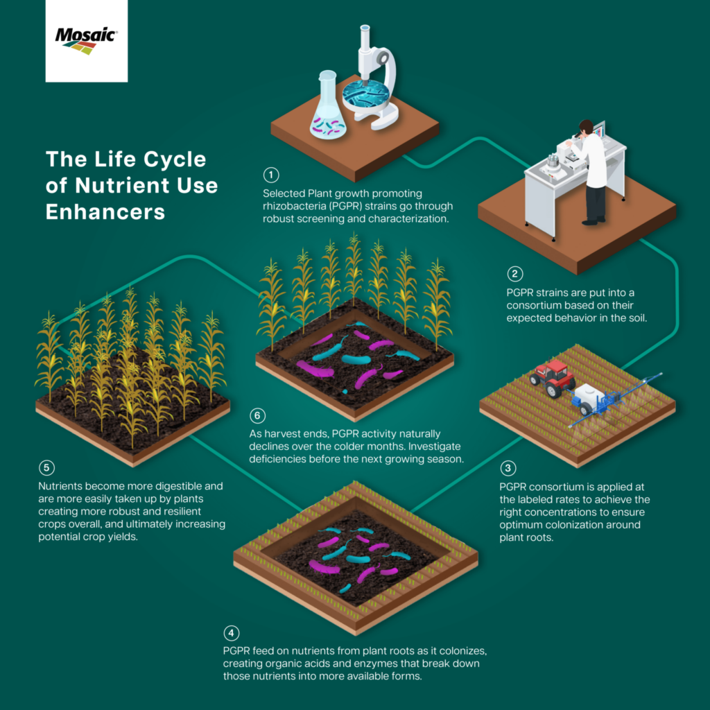 Biologicals: How It Works, How It’s Made, Why It’s Important | Mosaic Crop Nutrition