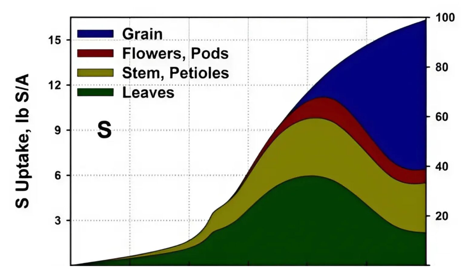 Sulfur: A secondary but critical macronutrient | Mosaic Crop Nutrition