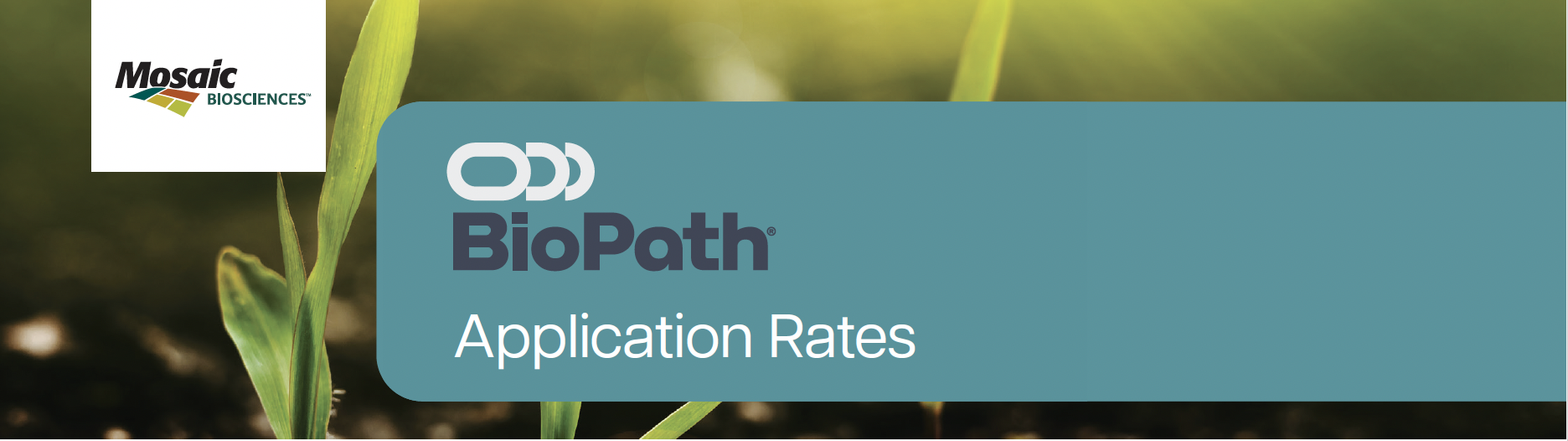 Root Honey Plus Application Rates | Mosaic Crop Nutrition